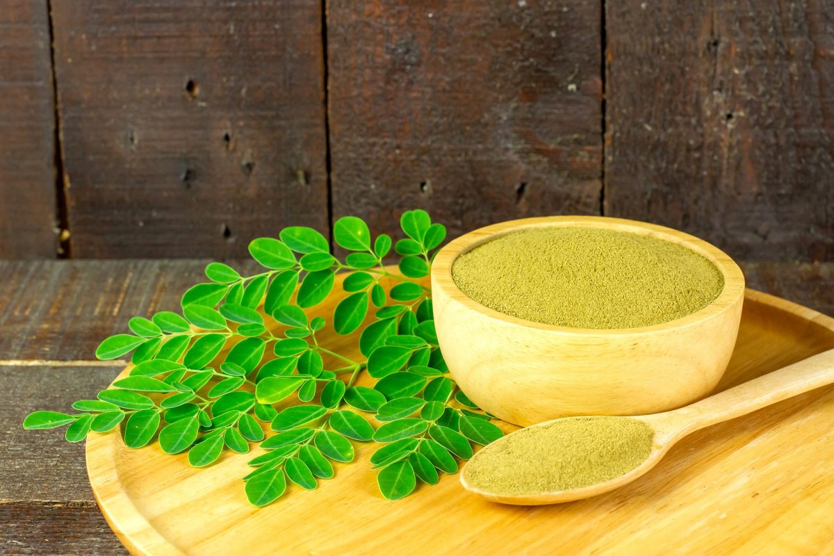 Moringa Powder Voor- en Nadelen- Is dit Poeder Gezond?